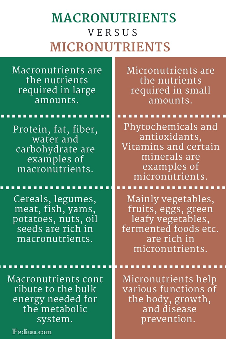 Micronutrients - why are they important?